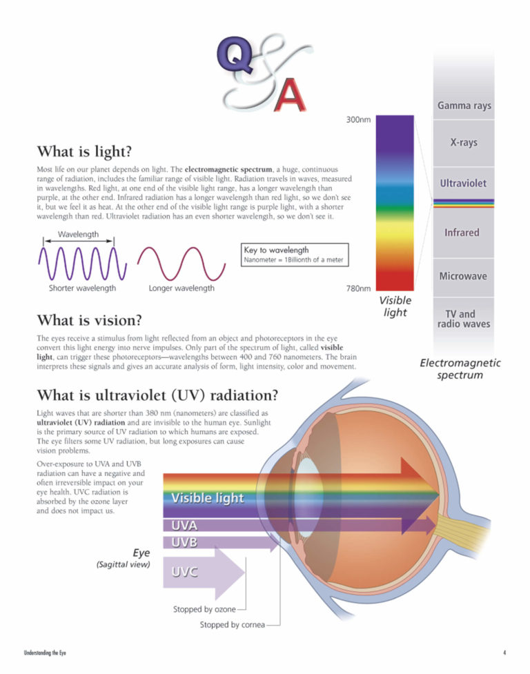 Understanding The Eye Flip Chart | Scientific Publishing