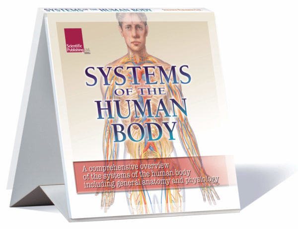 Human Anatomy Chart Set Scientific Publishing