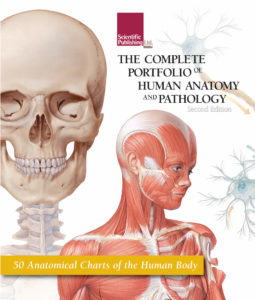The Complete Portfolio of Human Anatomy and Pathology - Scientific ...