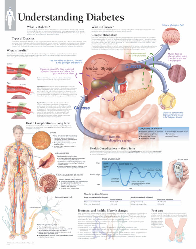 Understanding Diabetes | Scientific Publishing