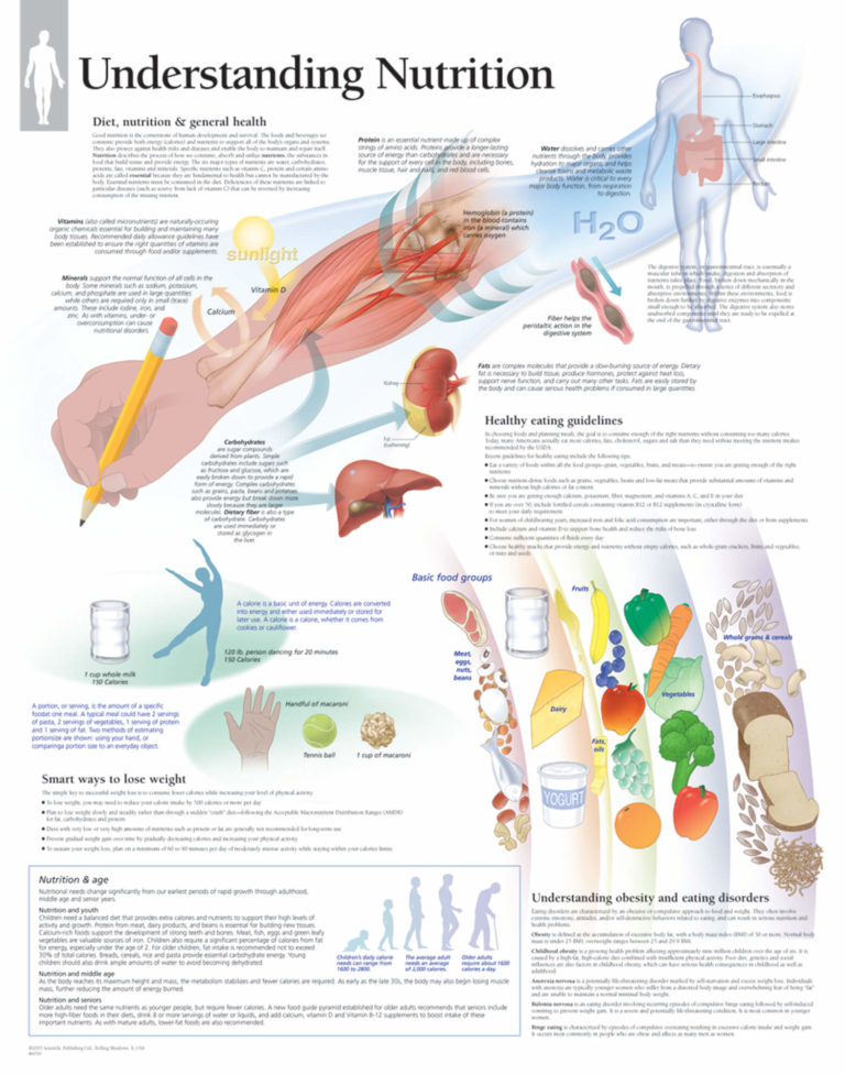 Nutrition and Metabolism | Scientific Publishing